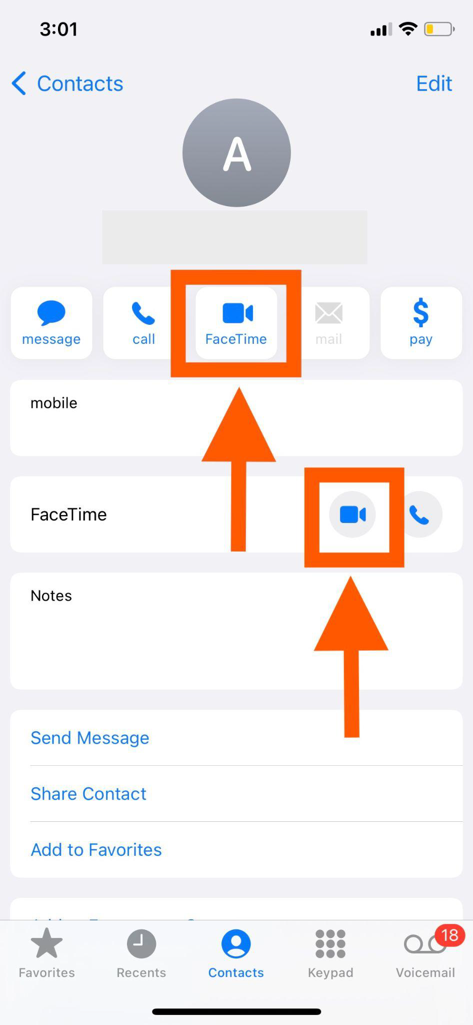 Candoo How to Use FaceTime - iPad & iPhone – CandooTech